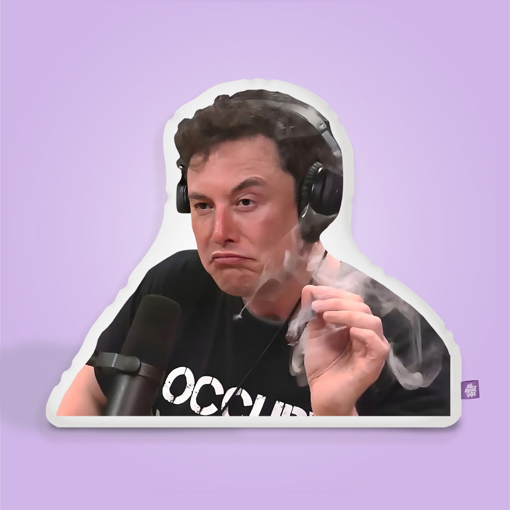Elon Musk Meme Pillow – Iconic Podcast Moment – All About Vibe