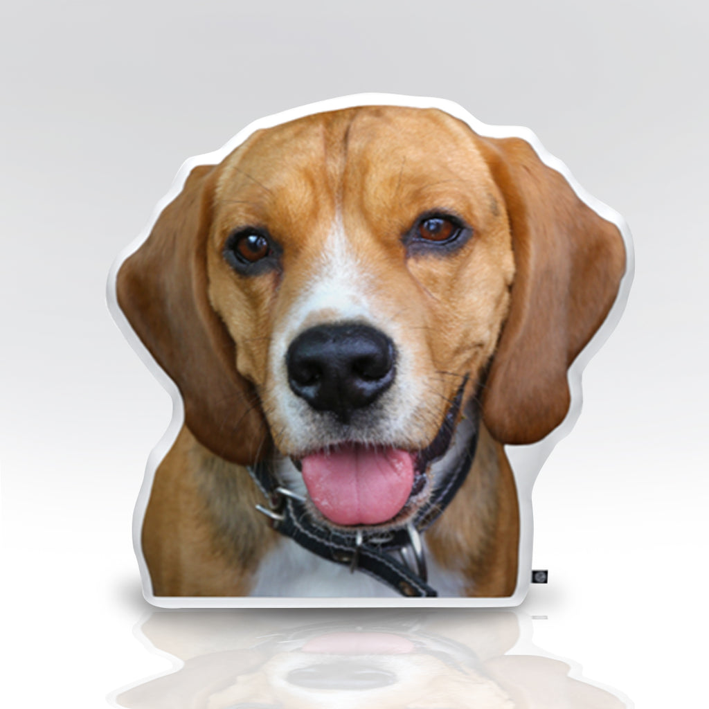 Beagle Throw Pillows – All About Vibe