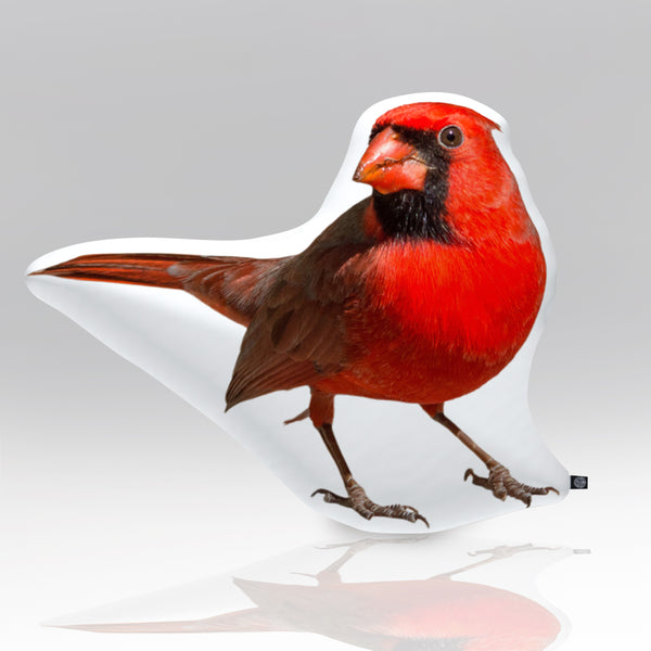 Custom Pillows | Take Your Own Customized Pillow at AllAboutVibe! – All ...