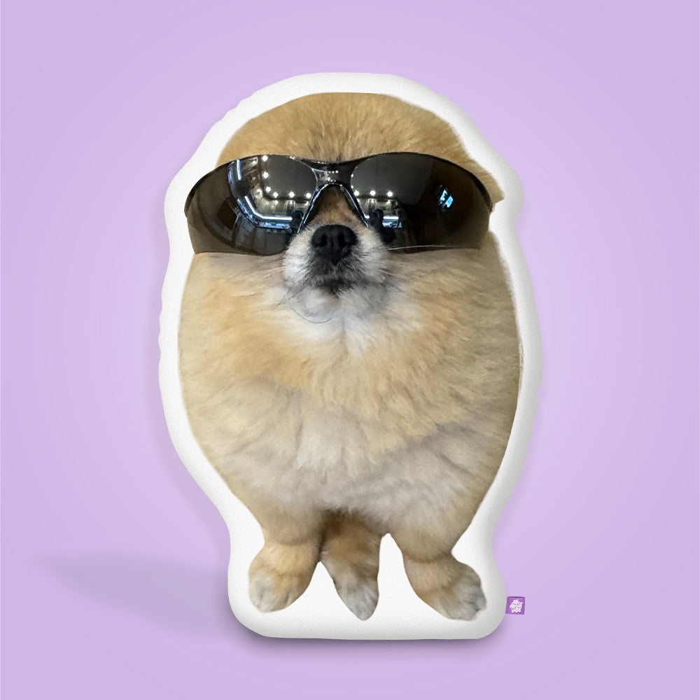 Kool Kori™ – The Coolest Pom Pillow – All About Vibe