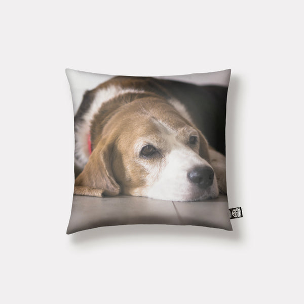 Custom Pillows | Take Your Own Customized Pillow at AllAboutVibe! – All ...