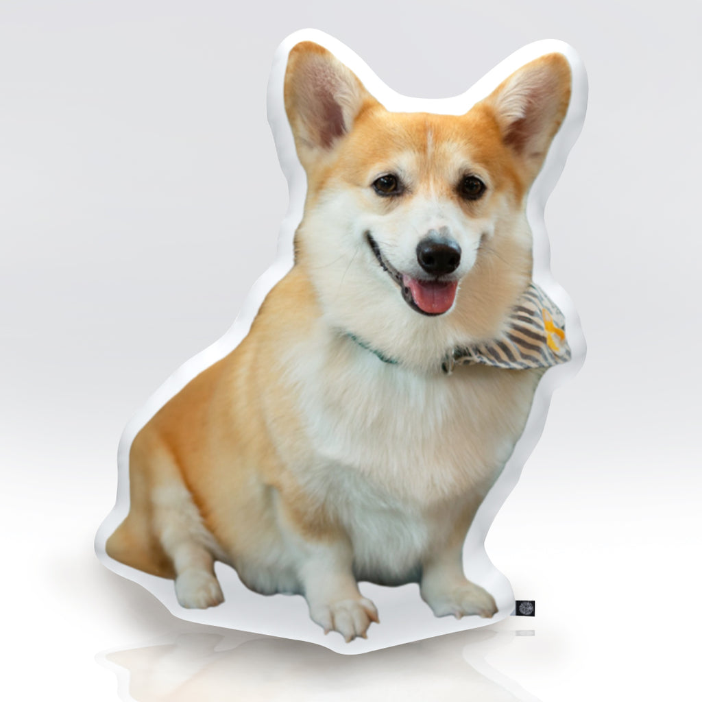 Corgi Throw Pillows – All About Vibe