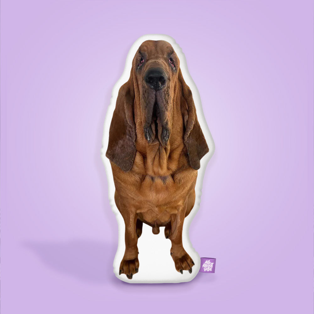 Walter Bloodhound Pillow – Personalized Dog-Shaped Gift – All About Vibe