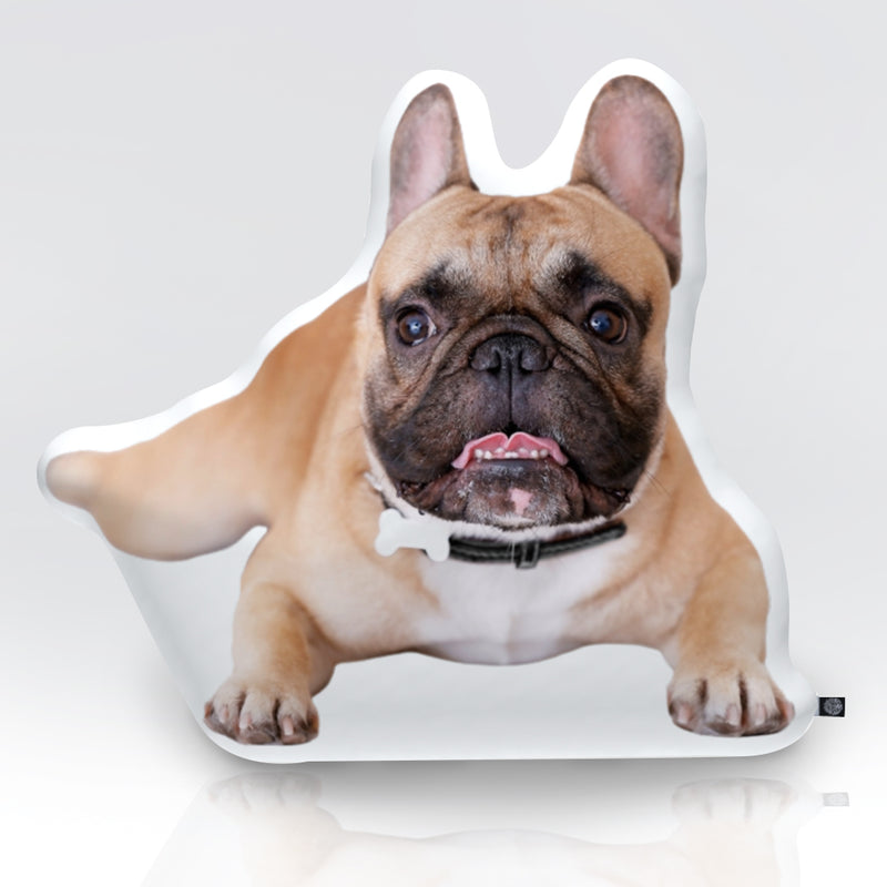 10" Mini Custom Shaped Pillow – All About Vibe