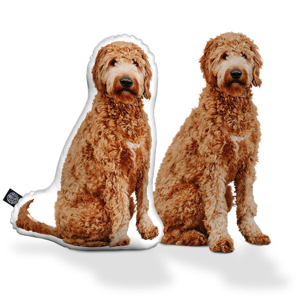 All Products – All About Vibe