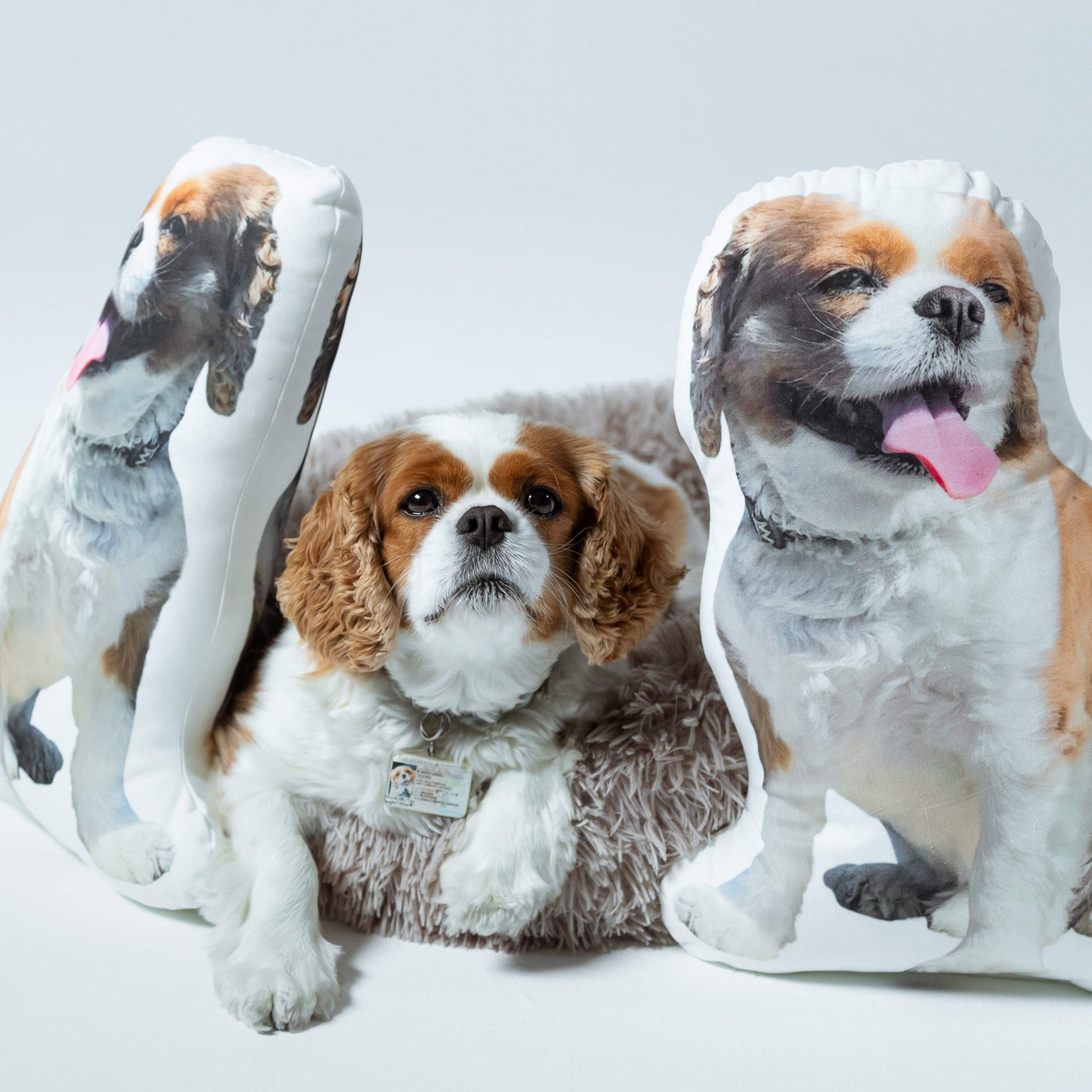Custom Shaped Dog Pillow | Made In USA | All About Vibe