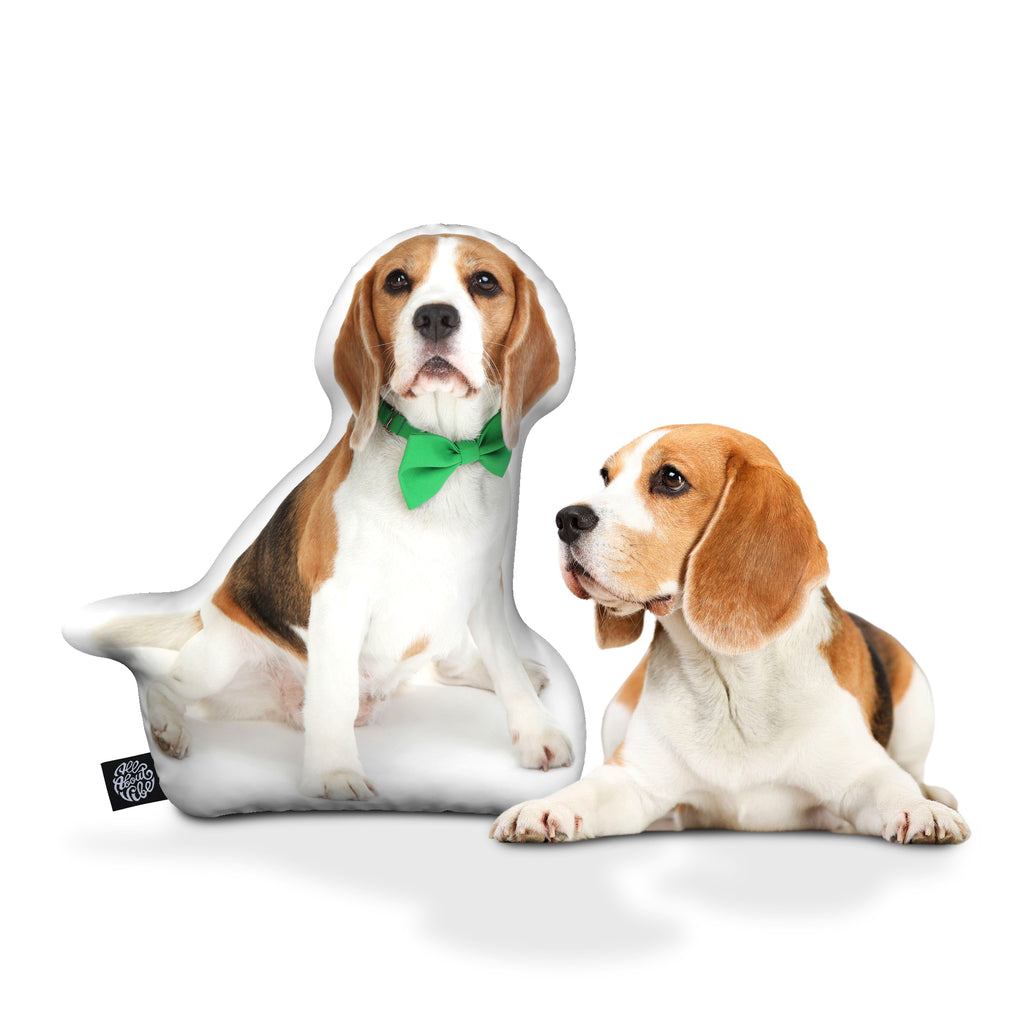 Beagle Throw Pillows – All About Vibe