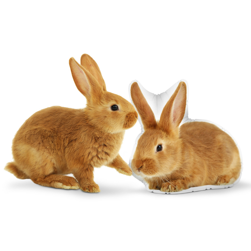 Rabbit Custom Shaped Pillow | Made In USA – All About Vibe