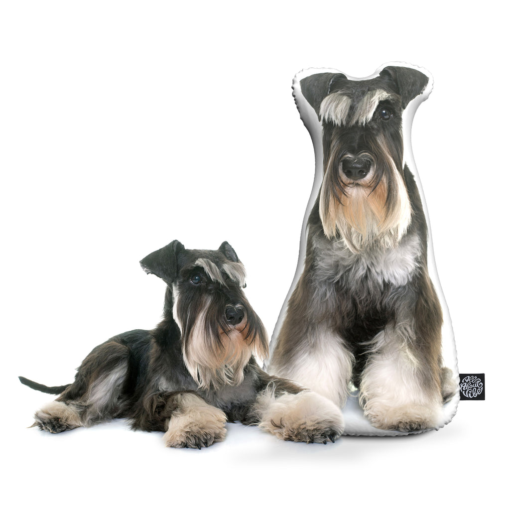 Schnauzer Throw Pillows – All About Vibe