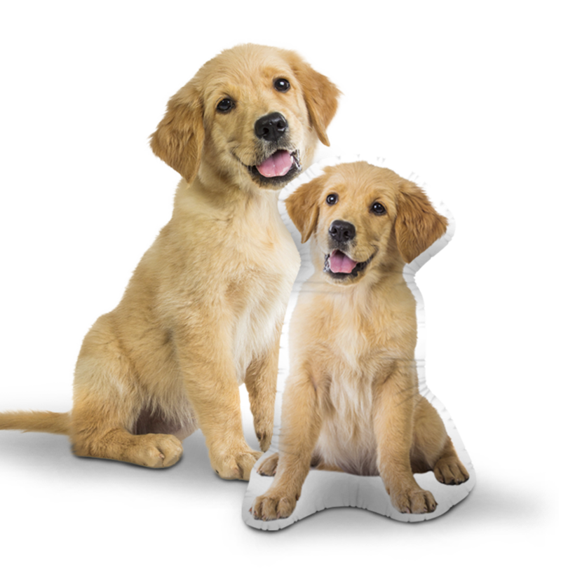 Custom Shaped Dog Pillow - Made In USA – All About Vibe